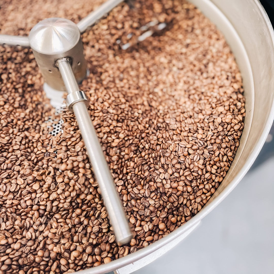 Speciality Coffee Roasted in Worcester – studioroasters.com